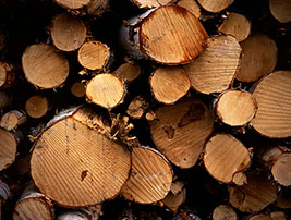 Why Is Timber Better?